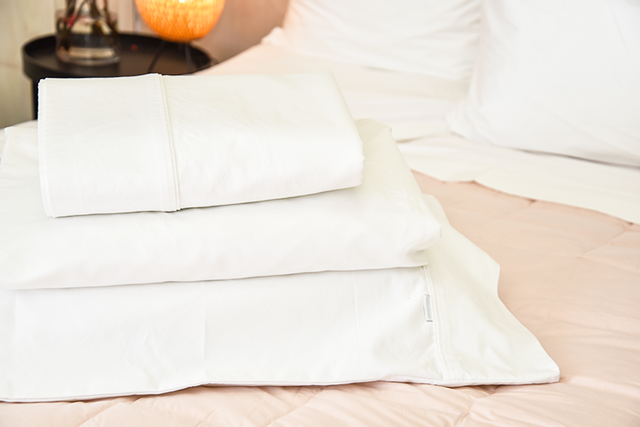 Buy Hungarian Goose Down Four Season Quilt – Eiderdown Australia