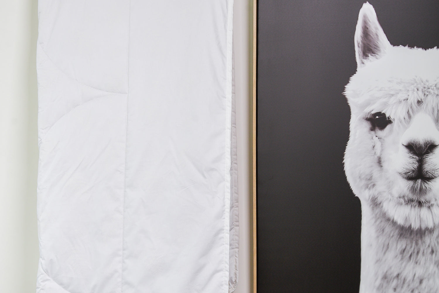 Buy 150gsm Alpaca Summer Quilt – Eiderdown Australia